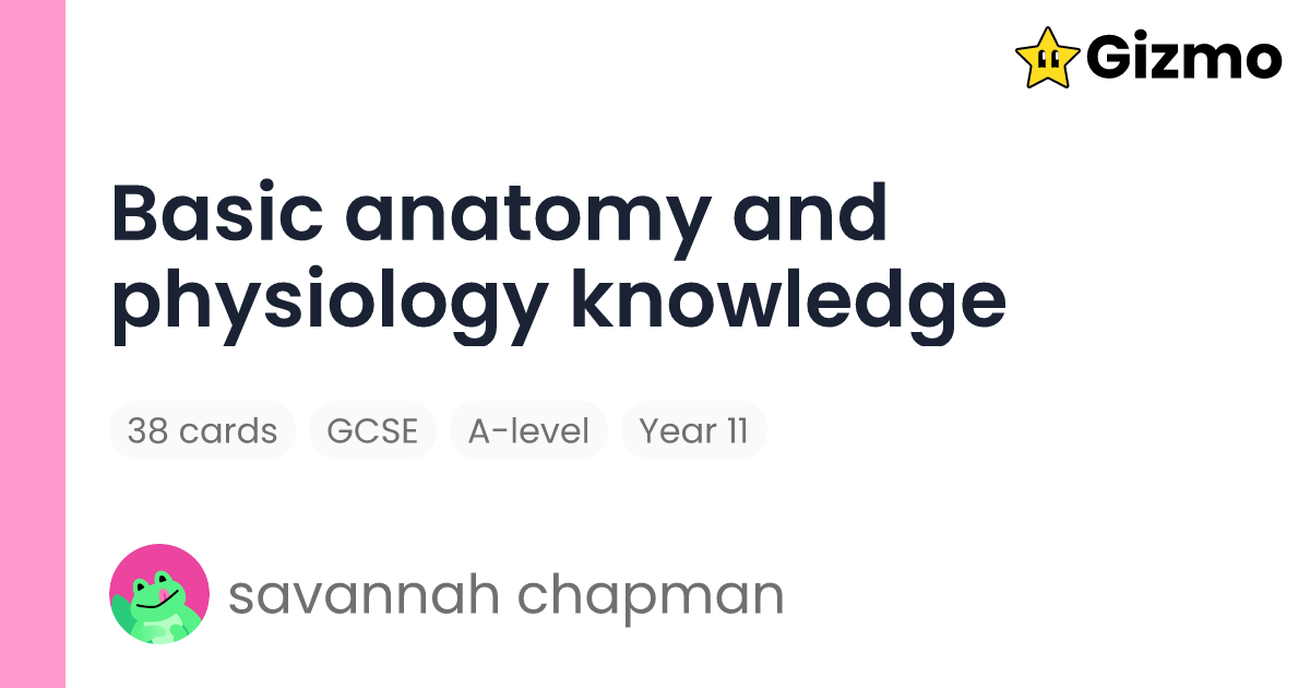 Basic Anatomy and Physiology Knowledge | Flashcards