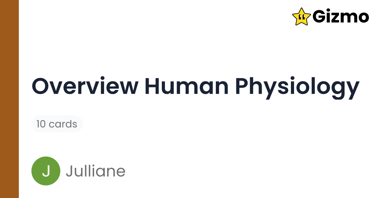 Overview Human Physiology | Flashcards