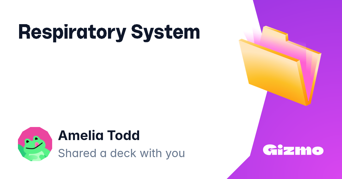 Respiratory System | Flashcards