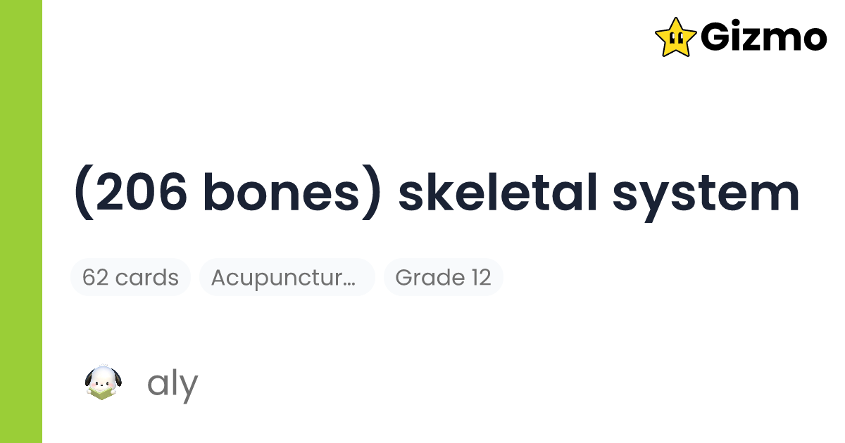 (206 Bones) Skeletal System | Flashcards