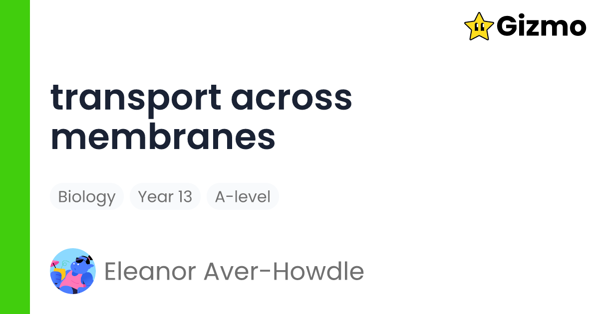 Transport Across Membranes | Flashcards