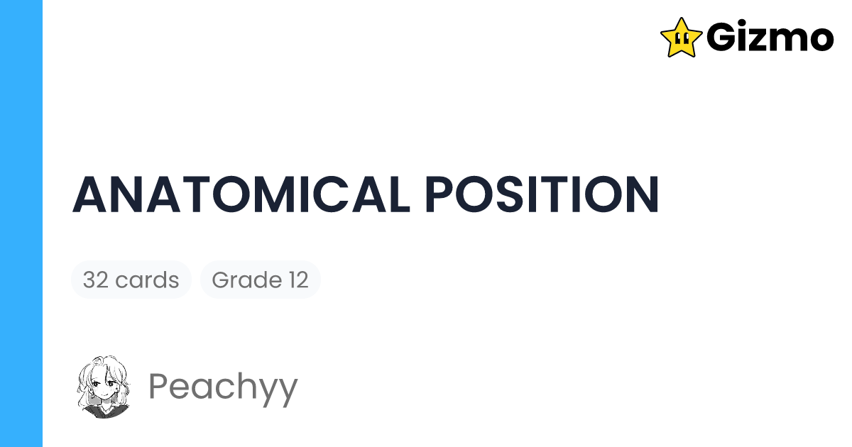 Anatomical Position | Flashcards
