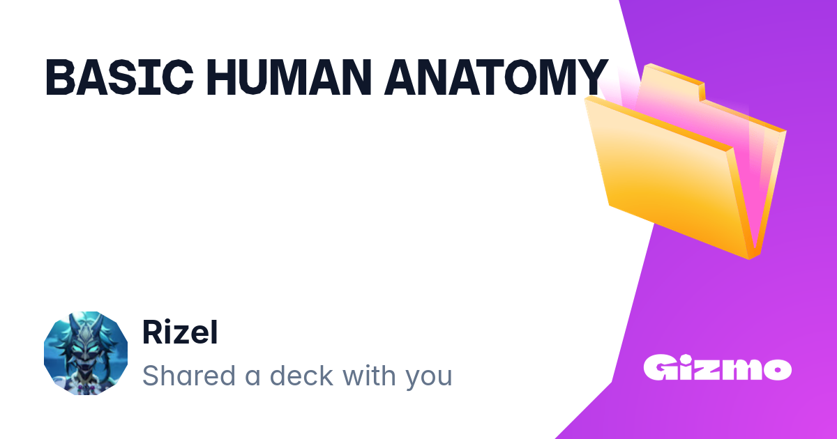 Basic Human Anatomy | Flashcards