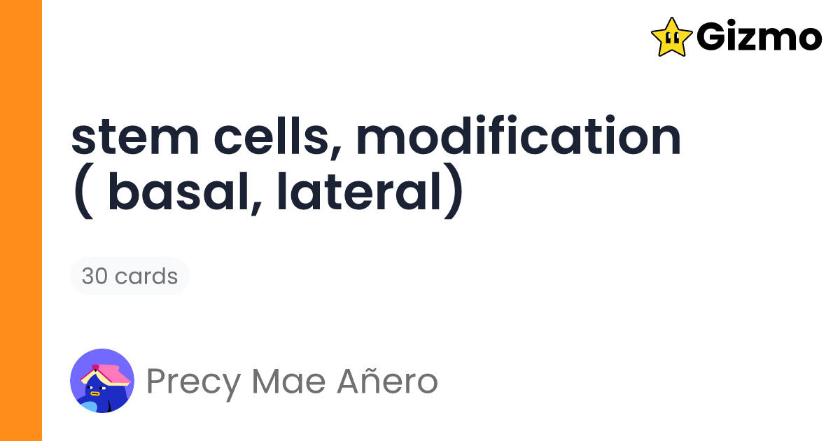 Stem Cells, Modification ( Basal, Lateral) | Flashcards