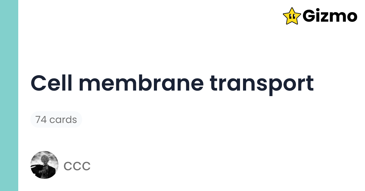 Cell Membrane Transport | Flashcards