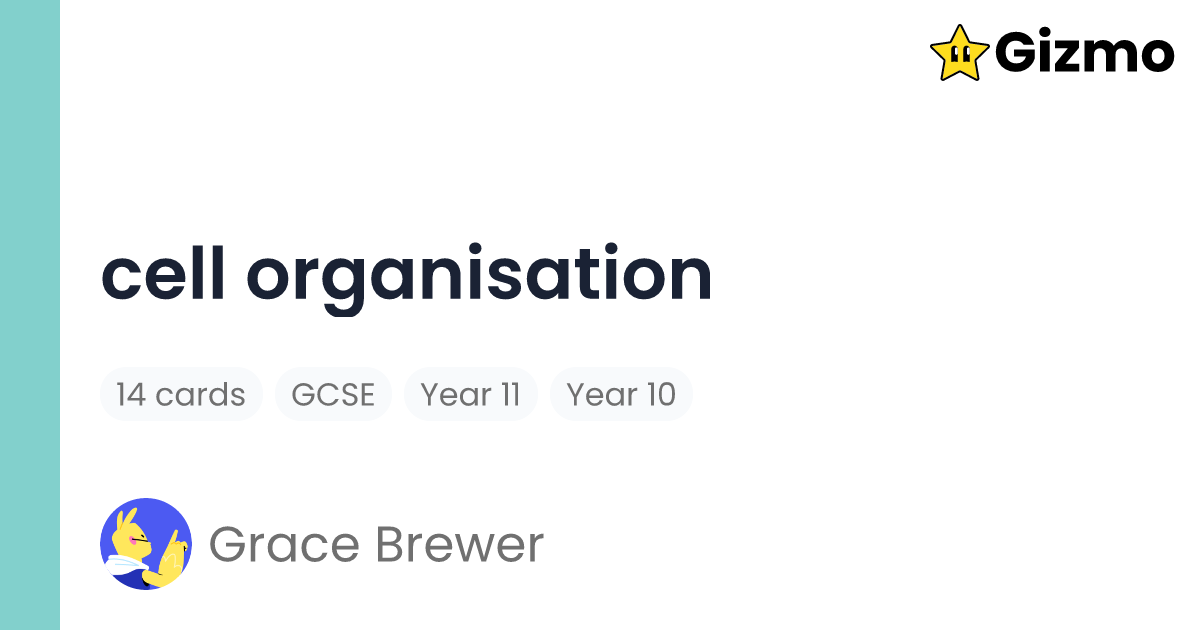Cell Organisation | Flashcards